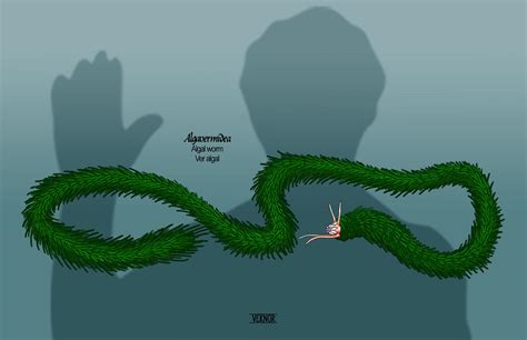 Algavermidea By Species Of Vekia On Deviantart