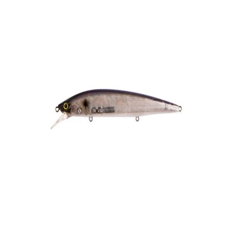 Jackall Rerange Mr Jerkbait Fishing World