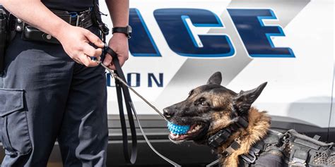 What Its Like Working In The K 9 Unit Aande