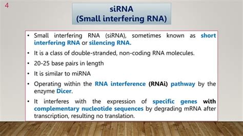SiRNA MiRNA Pptx Programming Languages Computing