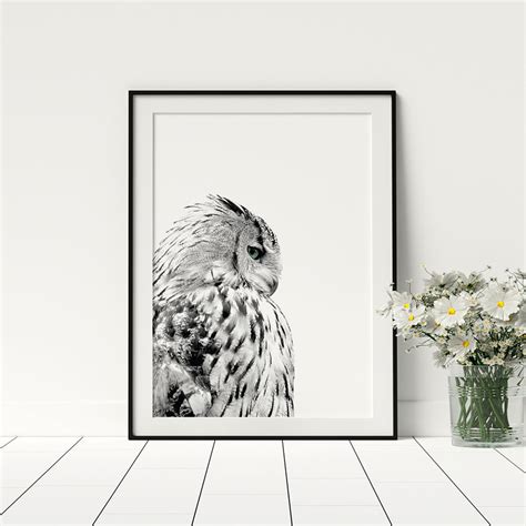 Owl Poster Printers Mews