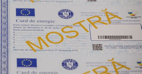 Guvernul a extins valabilitatea voucherelor pentru energie până pe 31
