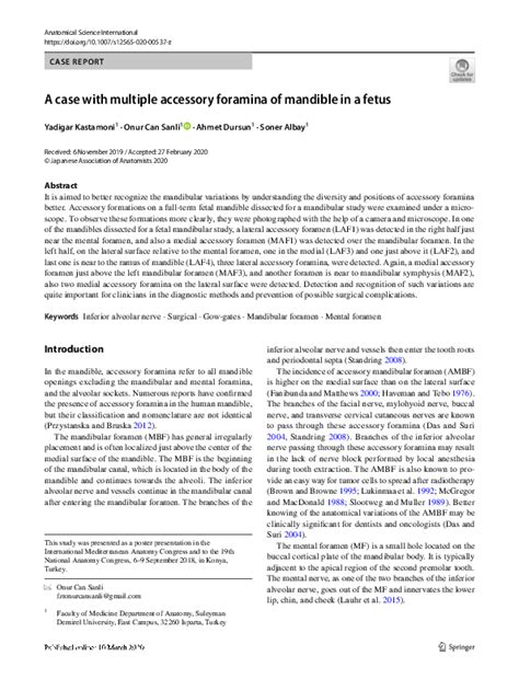 Pdf A Case With Multiple Accessory Foramina Of Mandible In A Fetus
