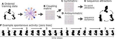 Self Orthogonalizing Attractor Neural Networks Emerging From The Free Energy Principle Self