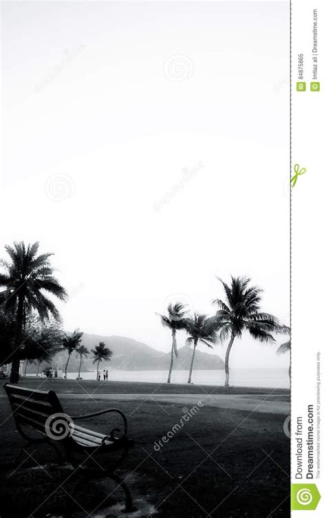 Bench Stock Image Image Of Hard Corrected Naked Alone 84875865