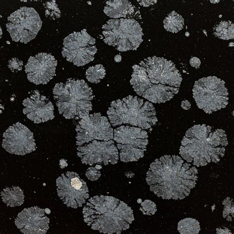 Mineral Dendrites Stock Illustrations 13 Mineral Dendrites Stock