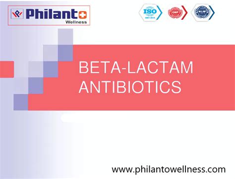 Exploring Beta Lactam Antibiotics Third Party Manufacturing And Beyond By Third Party
