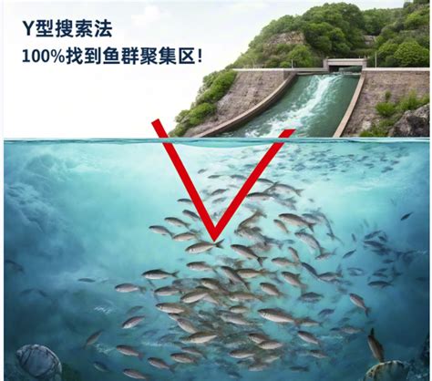 钓点选择宝典从菜鸟到大神的选址密码 实用经验 淘江湖