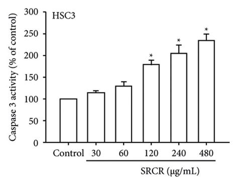 srcr induced activation of caspases in human oscc cells a d after