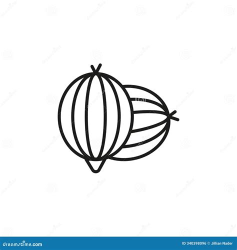 Gooseberry Icon Vector Isolated On White Background Logo Concept Of