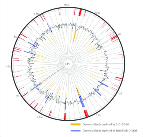 Genomic Islands Distribution In Strain Ep1 Genome Download