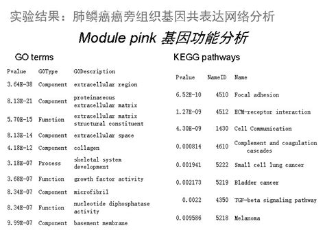 Module Pink Go Terms Kegg Pathways Pvalue Gotype