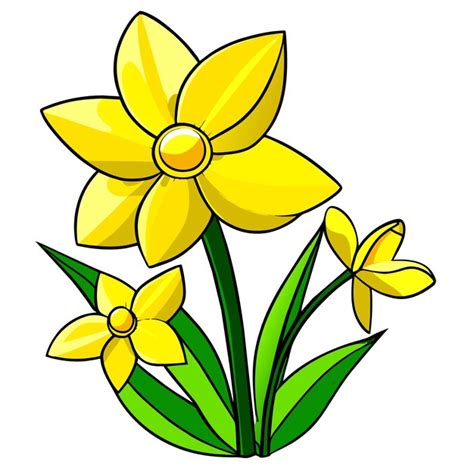 Premium Vector Spring Flowers Narcissus Flower With Green Leaves