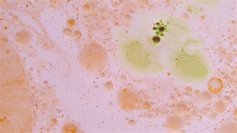 พื้นหลังนามธรรมที่มีวงกลม blobs และรูปร่างในสีส้มสีชมพูและสีเขียว ภาพ