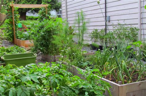Learn To Grow Organic Garden Update