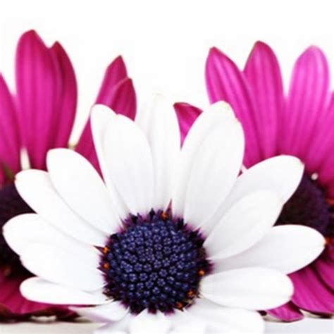 Ingebor Megy Allingu Youtube