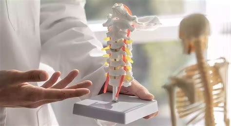 Difference Between Neurogenic Shock And Spinal Shock Productive