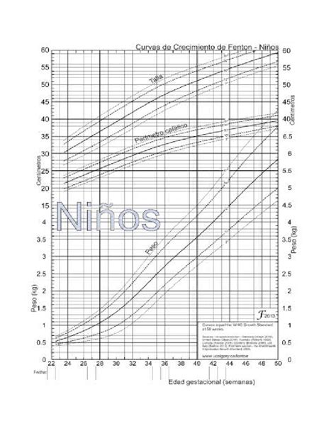 Escala De Fenton Pdf