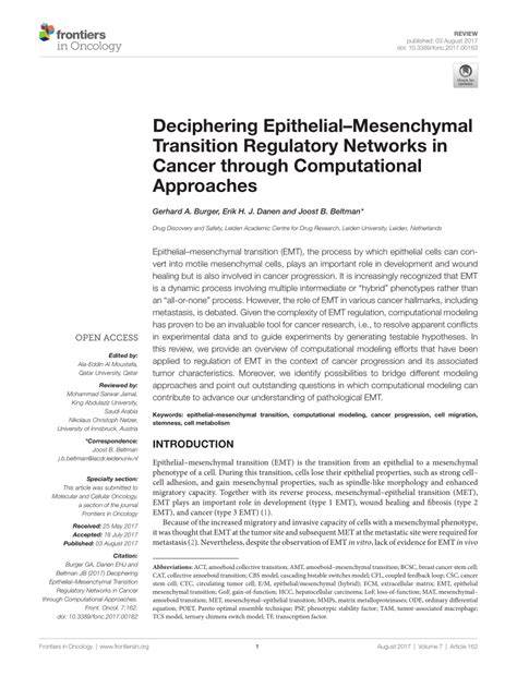 Pdf Deciphering Epithelial Mesenchymal Transition Regulatory Networks In Cancer Through