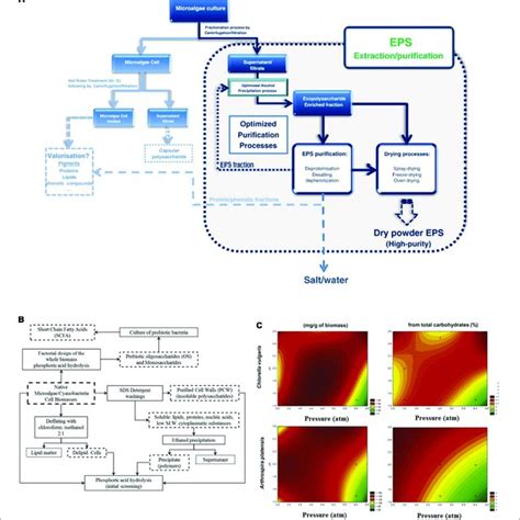 Mostafa Gouda Doctor Professor Assistant Nrc Zhejiang University Hangzhou Zju
