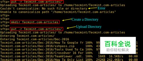 在 Linux 中使用 sFTP 上传或下载文件夹 百科全说