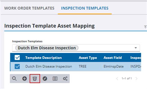 Remove An Asset Mapping