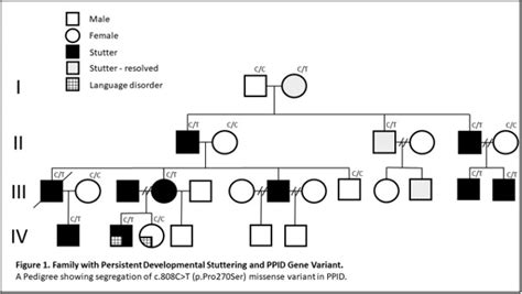 Unlocking The Genetics Of Stuttering Stuttering Foundation A