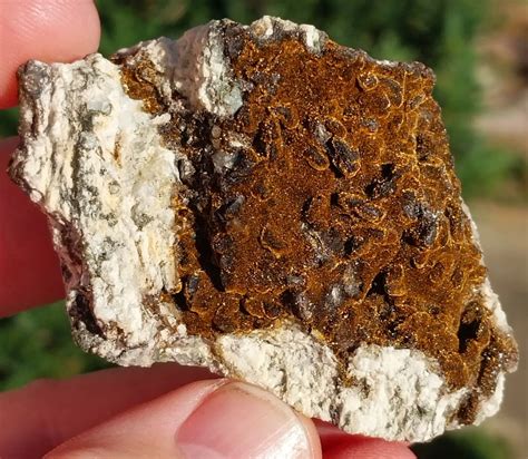 Super Rare Growth Formation Geothite Specimen Geothite Mineral