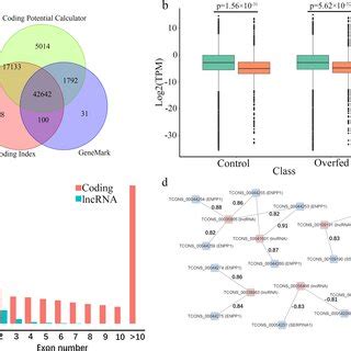 Identification And Characteristics Of LncRNA A Venn Diagram Of