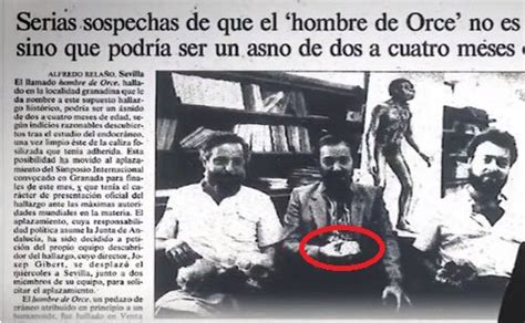 اذاسقطالتطورسقطالالحاد الادلة الاحفورية للتطور 3 ‼️ في عام 1984م