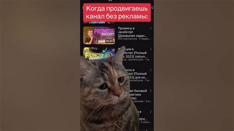 Ну а вдруг я украду вашу подписку Javascript Js React Frontend Css