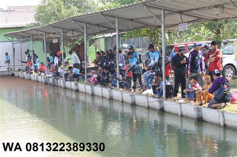 Umpan Serbuk Ikan Nila Di Kolam Pemancingan Toko Umpan Master Essen