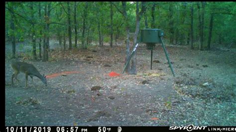 Spypoint Link Micro Cellular Game Camera Review Youtube