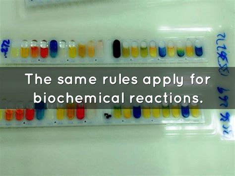 Biochemical Reactions By Jennifer Daniel
