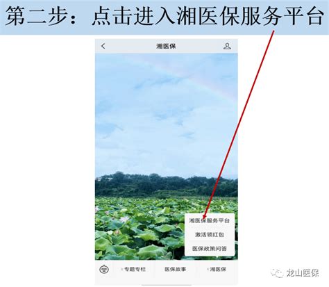 龙山县城镇职工医疗保险异地就医备案流程生活