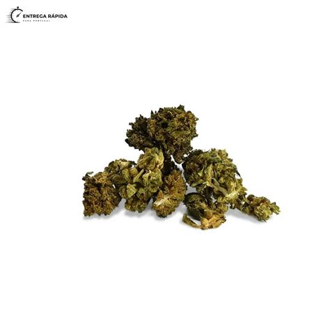 Small Buds Cbd Cbd Portugalpt