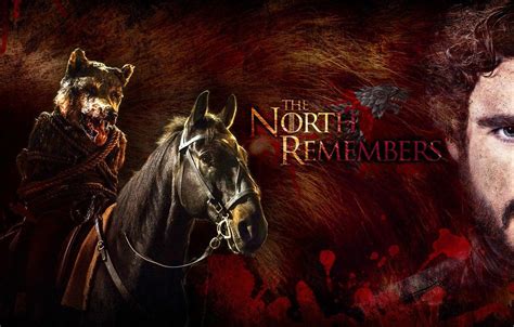 Robb Stark Wallpapers Top Free Robb Stark Backgrounds Wallpaperaccess