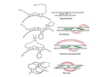 108 Advanced Topics Summary And Key Points Further Reading Bibliography Biology Libretexts