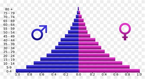 Pyramids Clipart Svg Population Pyramid Uk 1950 Hd Png Download