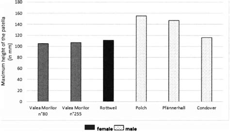Osteometry Ofpatellas Ofmammoths From Valea Morilor And Specimens Of