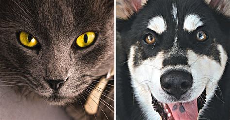 Hacemos Periodismo Infobae