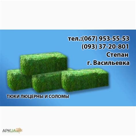 Купить ТЮКИ сена люцерны, Васильевка, Сено в тюках, рулонах — APKUA