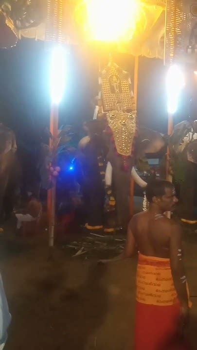 ലൈറ്റിൽ നിന്ന് ക്യാമറ ഫോക്കസ് ഔട്ട് ആയപ്പോൾ അപ്പൂസിനെ കണ്ടപ്പോൾ Youtube