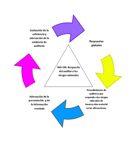 Auditoria I Nia 320 330 Y 530