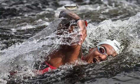 Ana Marcela Cunha Conquista Bronze Em Etapa Da Copa Do Mundo Após