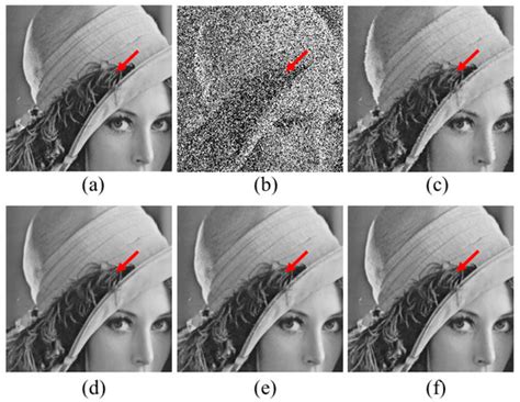 Algorithms Special Issue Dictionary Learning Algorithms And