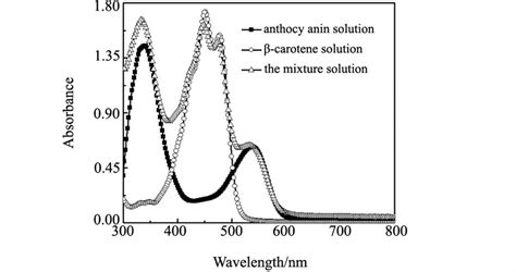 Uv Vis Absorption Spectra Of Anthocyanin Solution β Carotene Solution