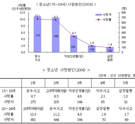 자료 통계청 「2004년 사망원인통계연보」