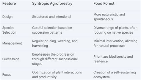 Syntropic Agroforestry A Beginners Guide For Temperate Climates — Learn Practical Skills From