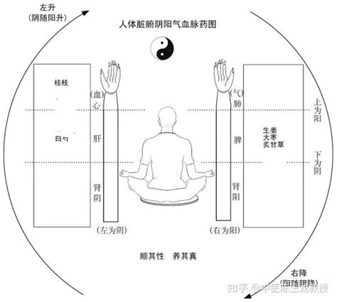 一个千古名方上中下三焦通调打通体内循环调和阴阳百病消 知乎
